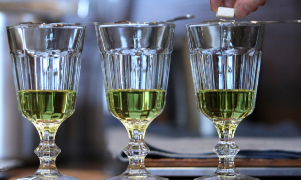 Absinthe (Artemisia absinthium & Thujone) - The Drug Classroom